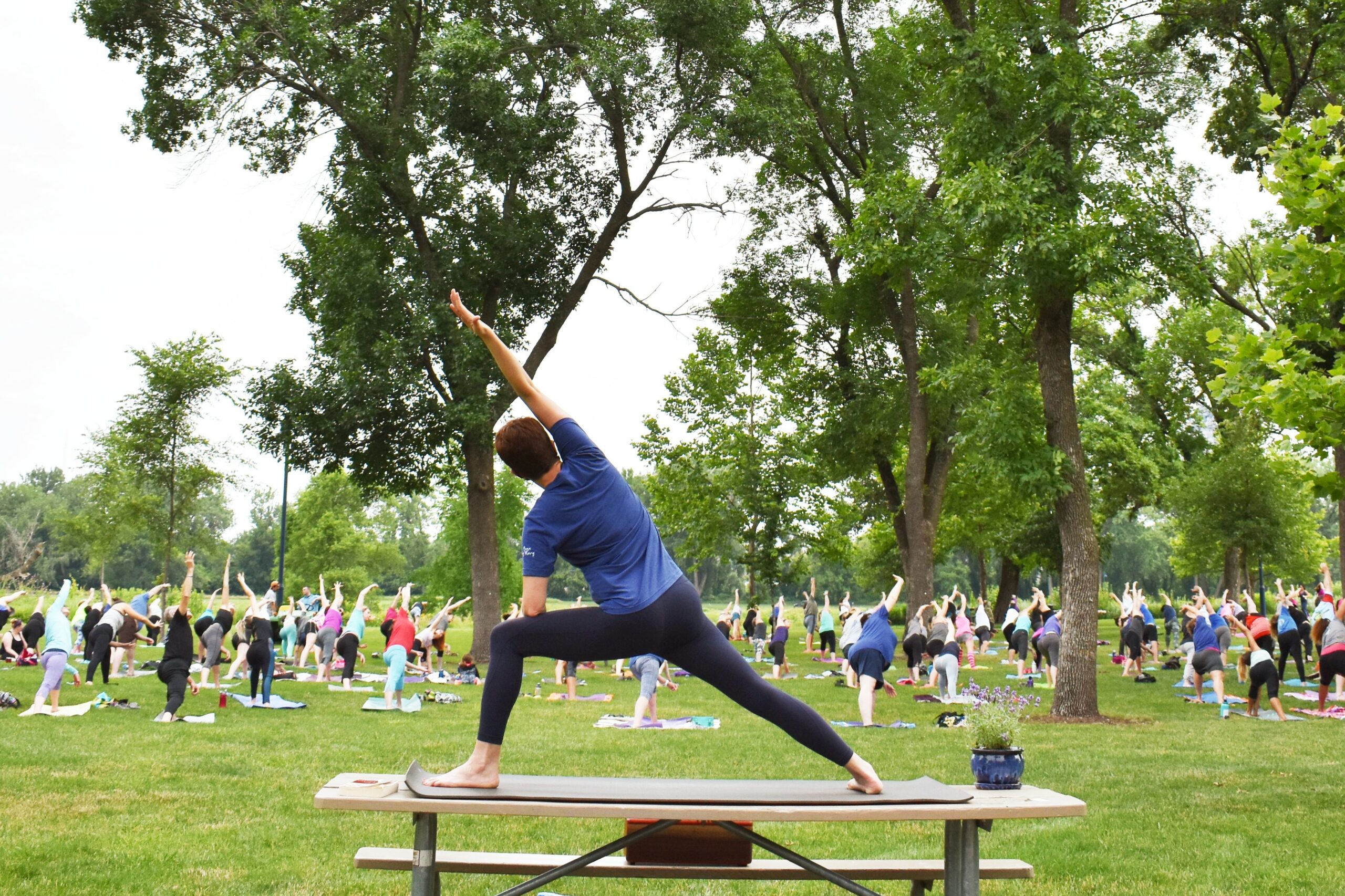 Connecting with Nature: The Benefits of Practicing Yoga Outdoors - Mary ...